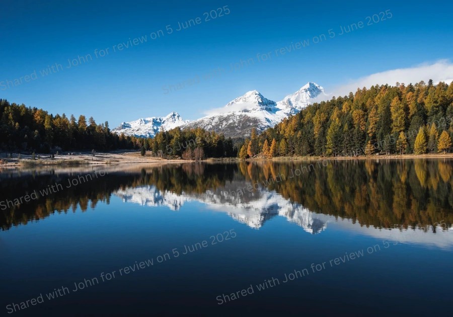 What is a Watermark? Definition, Types, Examples (2025) | CVOR